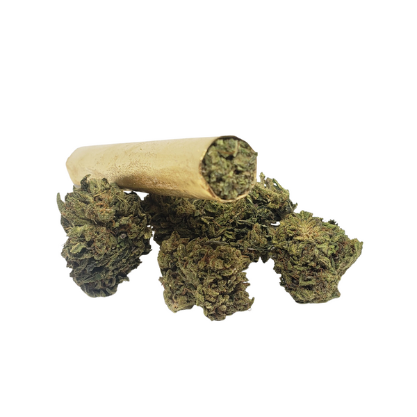 The Golden Gar 3g Preroll – Golden Grown Farm